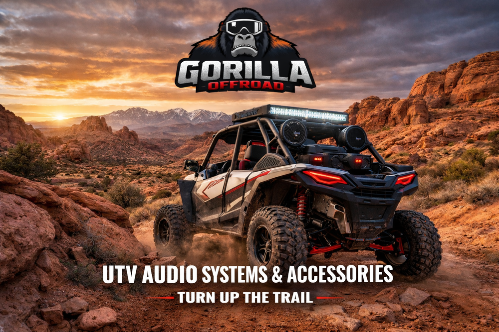 UTV SXS LED Lighted Whips